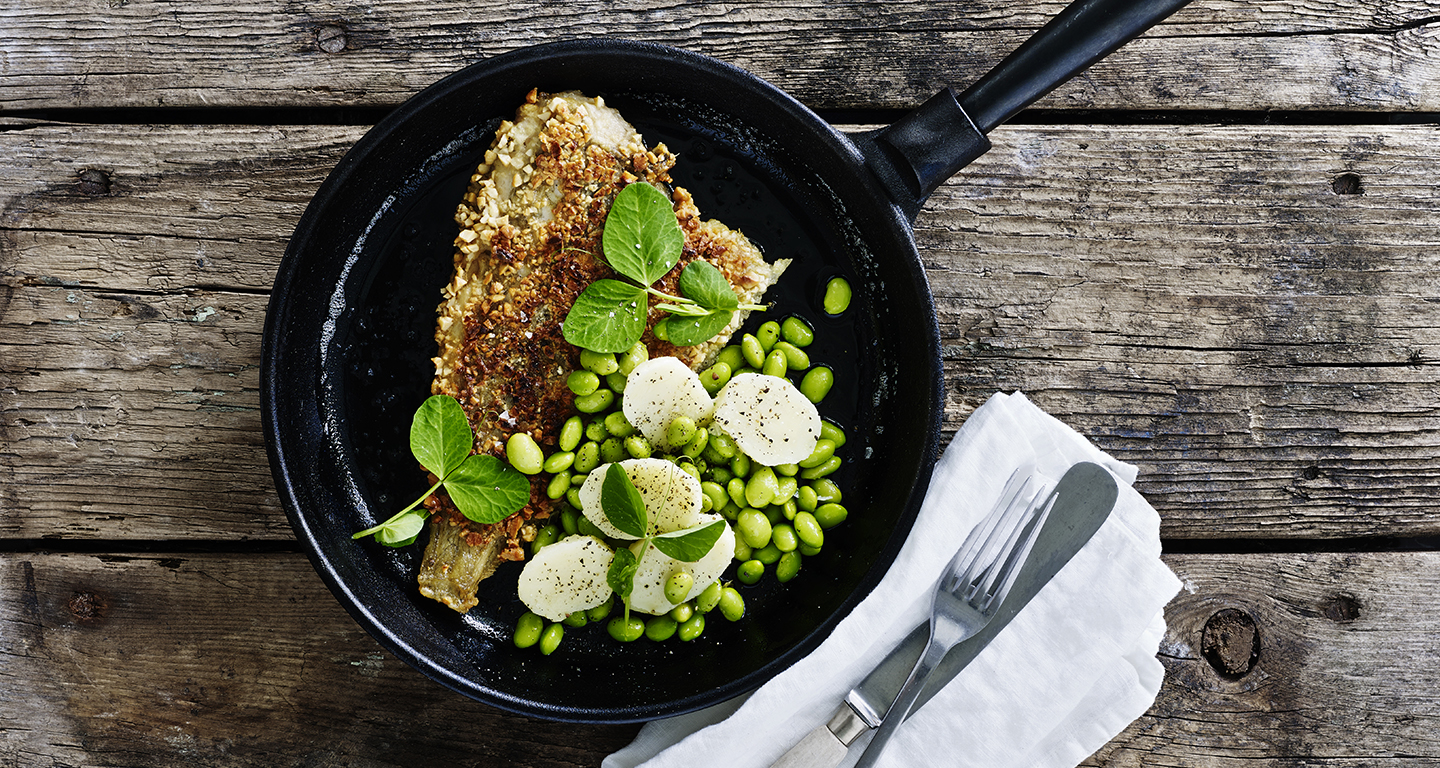 Let og lækker mad med protein - De bedste opskrifter - Find dem her