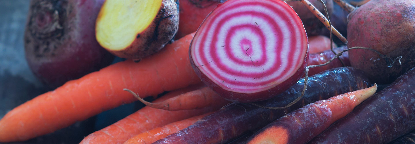 Rodfrugter - De lækrester opskrifter med rodfrugter